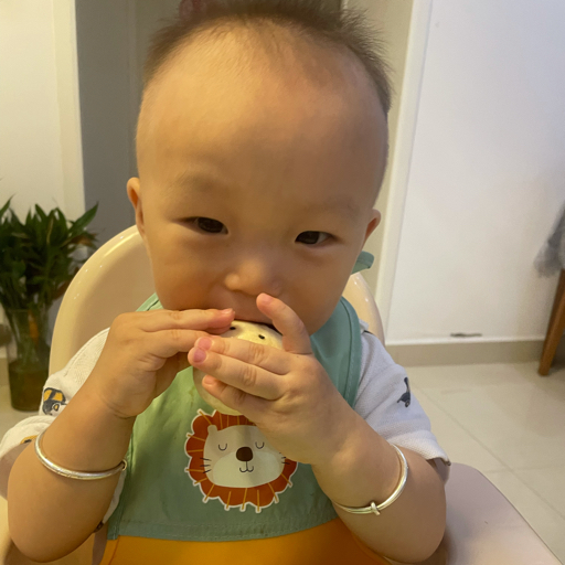 小金生活记录 