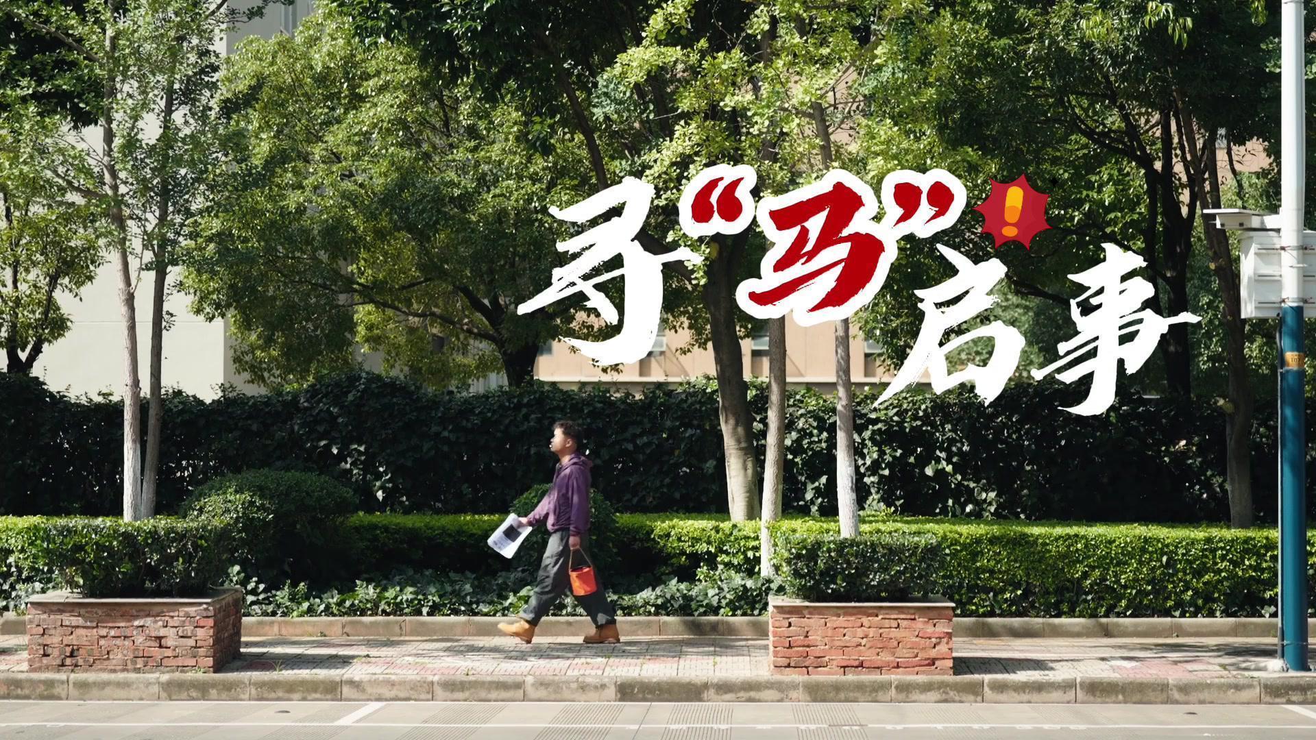 慧眼识"马"辨真伪,网络安全我先行--互联网世界,切记防范木马病毒