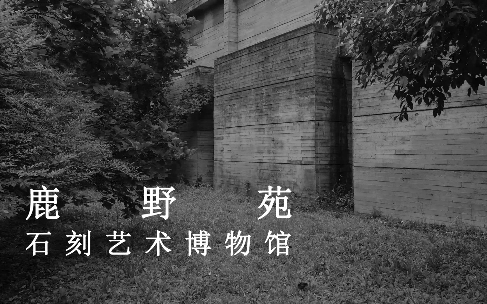 【大师建筑云考察】鹿野苑石刻艺术博物馆——宗教,隐秘,法无定法