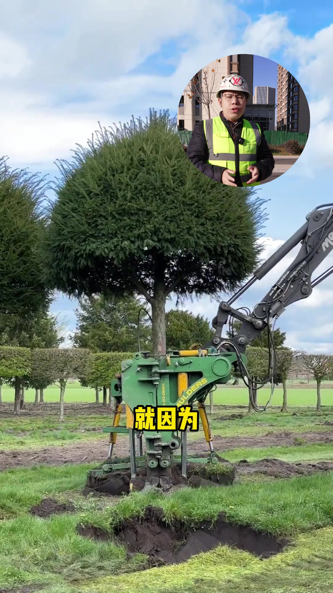 移栽乔木需要套几个定额?《园林绿化工程组价套定额实操讲解》!来...