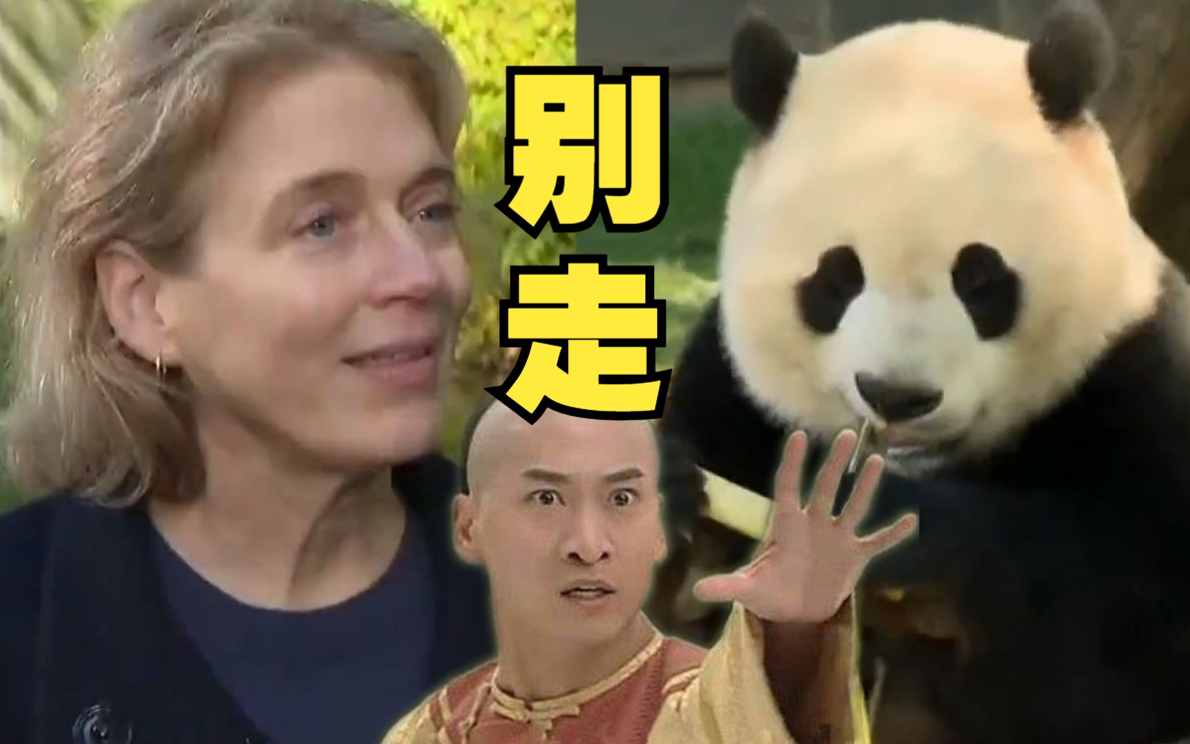 外媒关注美香一家回国,美国国家动物园主管称将尽全力让大熊猫再回来