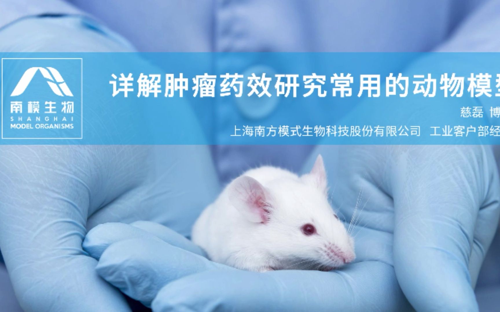 详解肿瘤药效研究常用的动物模型