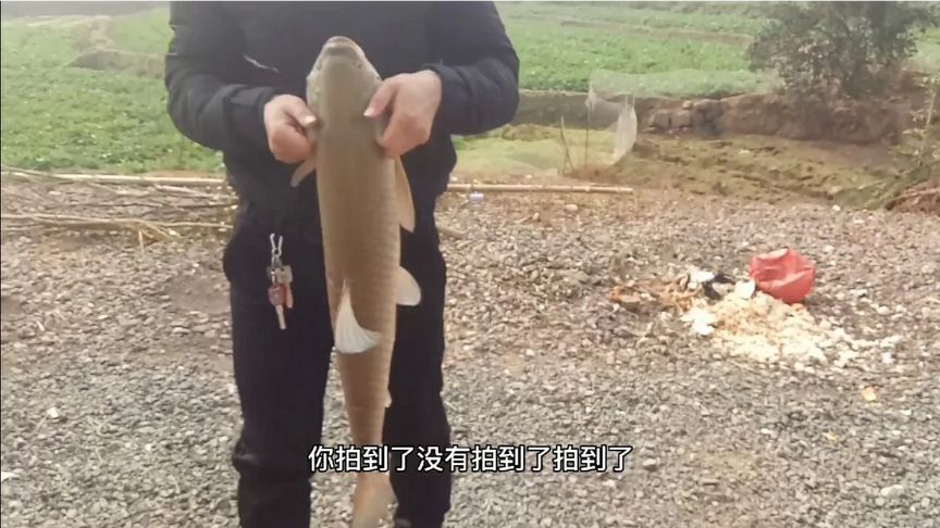 这种传统的撒网捕鱼方式,已经有很多年轻人不会了