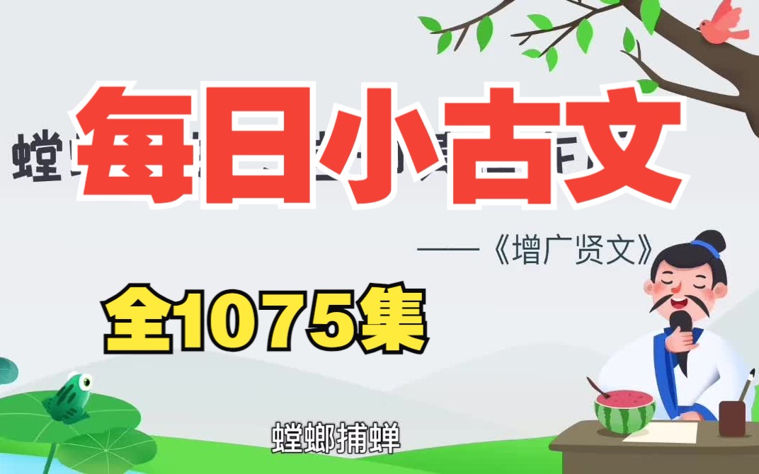 【全1075集】每日一句小古文动画视频讲解 日积月累 古文基础知识...
