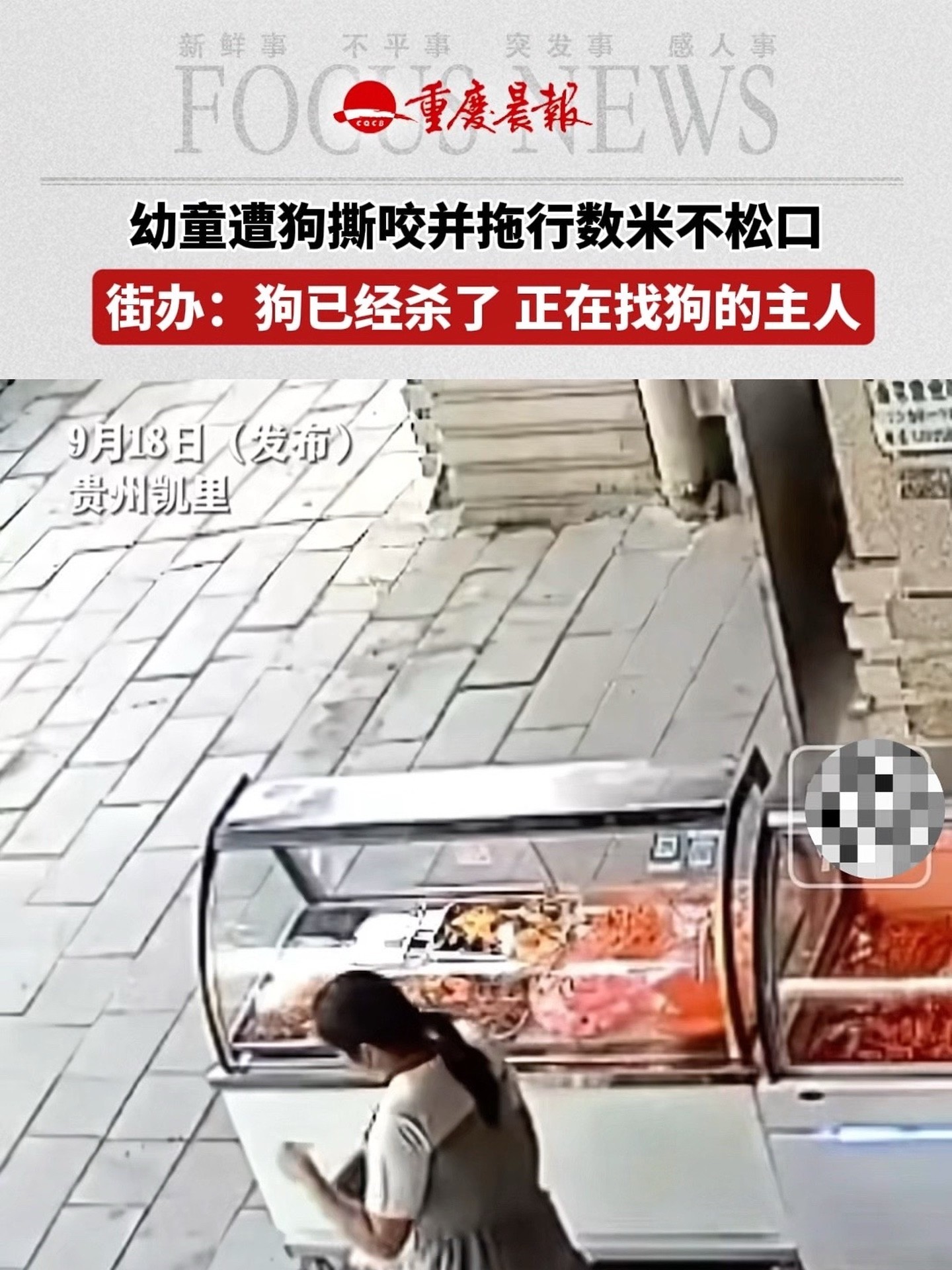 幼童遭狗撕咬并拖行数米不松口