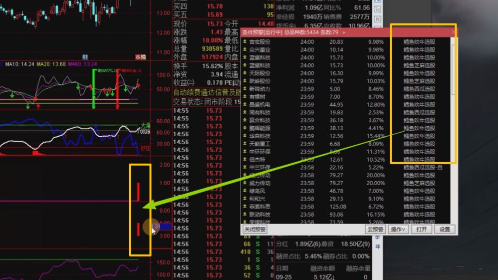 通达信17,通达信预警功能