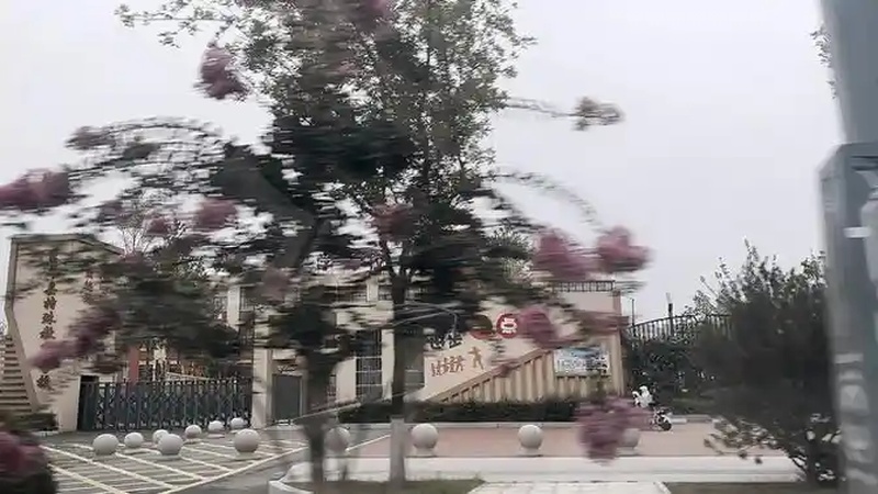 富平县的特殊教育学校,盖的挺不错,关爱特殊人群