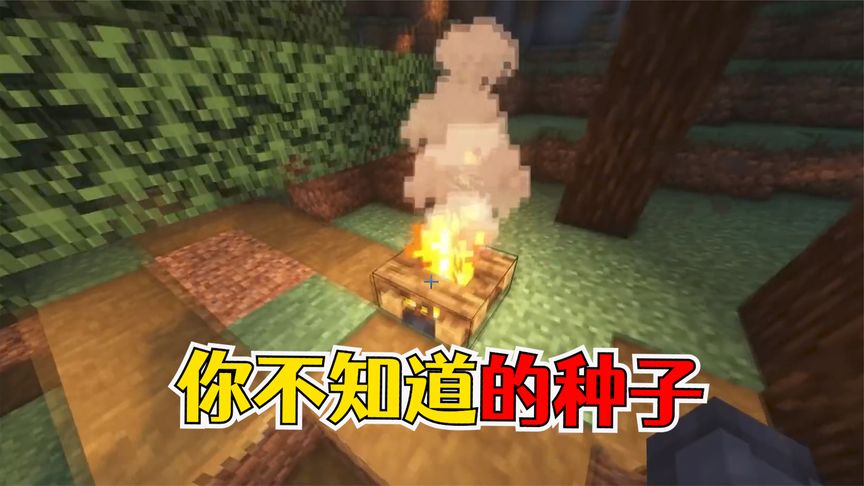 我的世界:六个超稀有种子,漂浮的沙漠神殿?宝箱里有超多钻石?