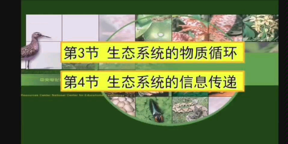 “名师”精讲“生态系统的物质循环”