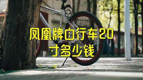 凤凰20寸自行车价格揭秘:几百到几千,你的预算能买哪一款?