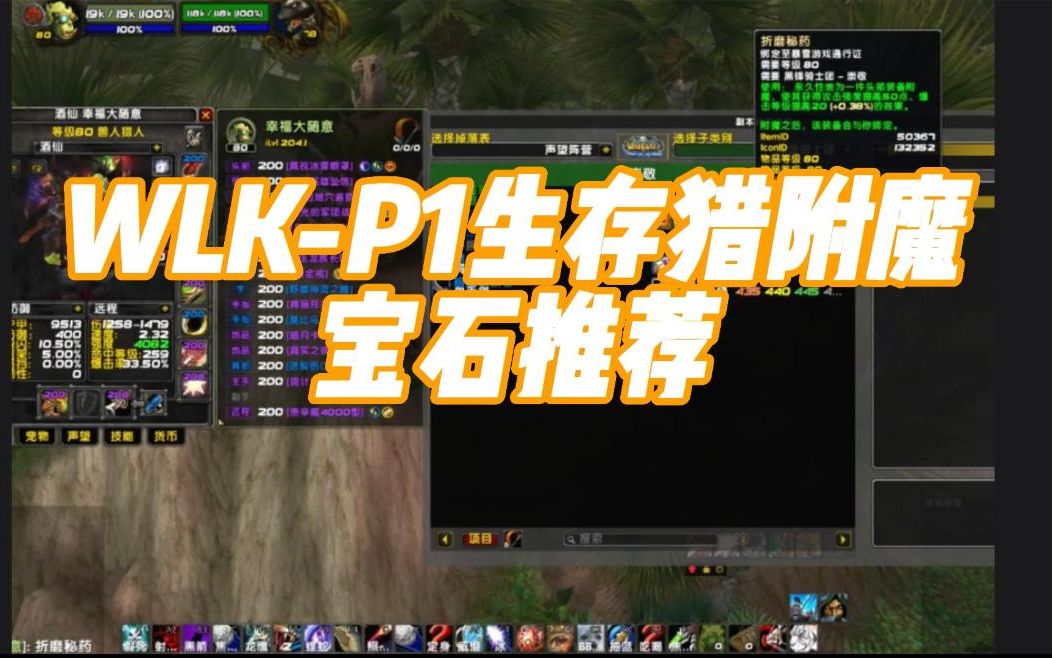 魔兽世界-WLK-生存猎附魔、宝石推荐(P1阶段)_哔哩哔哩bilibili_WOW...