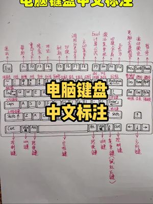 电脑键盘中文标注,不认识键盘的小可爱赶紧收藏#键盘知识 #文员零...