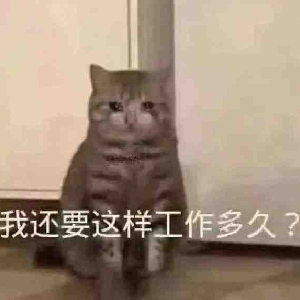 小楼听雷雨 