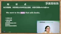 定语从句that/which的用法