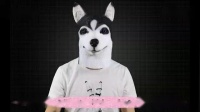 熊出没这一集里我们可能都被骗了_原创视频-咪咕动漫官网(0)