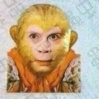 齊天大聖孫行者悟空 