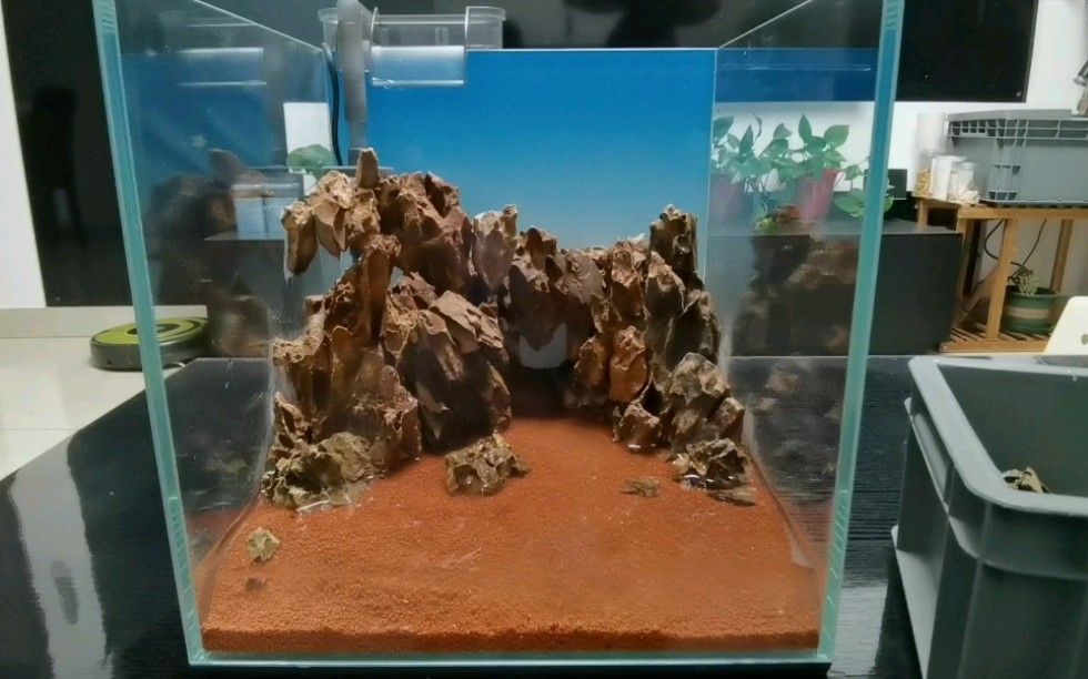 30方缸开缸全过程(四) —松皮石造景(补)