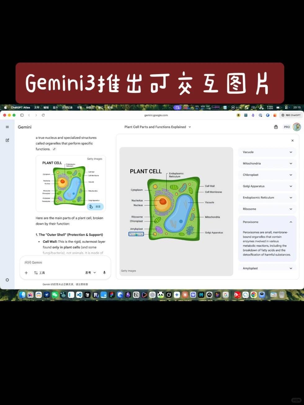 ...神经元运作方式,这样的可交互图片就非常有价值。   说明:之前误解...