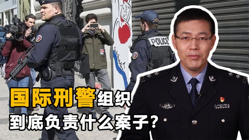 国际刑警是一个什么组织?竟不一定是刑警?这些案子都由他们负责