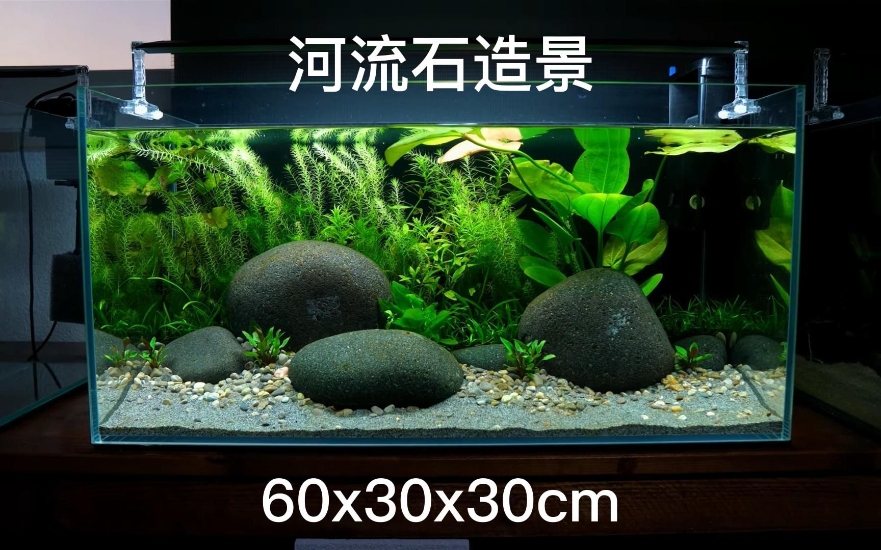 造景不难,就是这个石头不好找