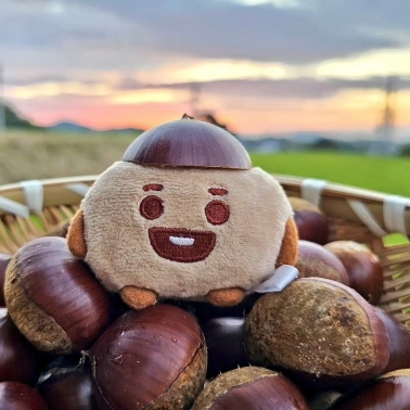 好想suga小咪 