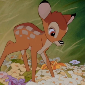 Deer_森林的小鹿 