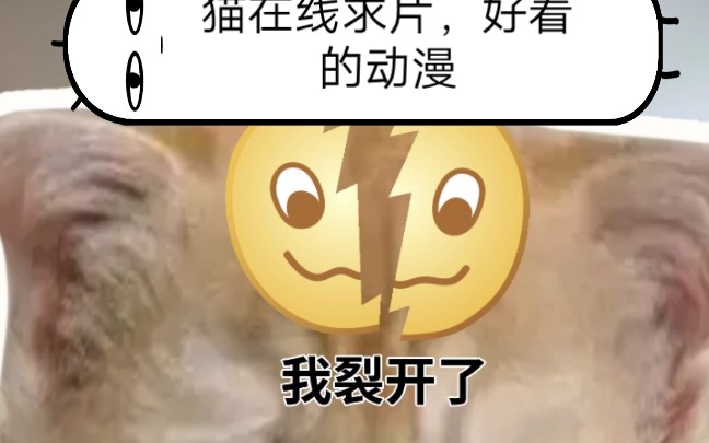 剧慌猫在线求片,比如进击的巨人最新篇,灌篮高手电影版,鬼灭之刃最新篇