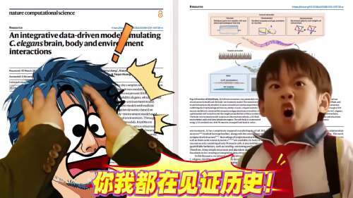 见证历史的一刻,科学家们创造出了人类历史上首个电子生命!