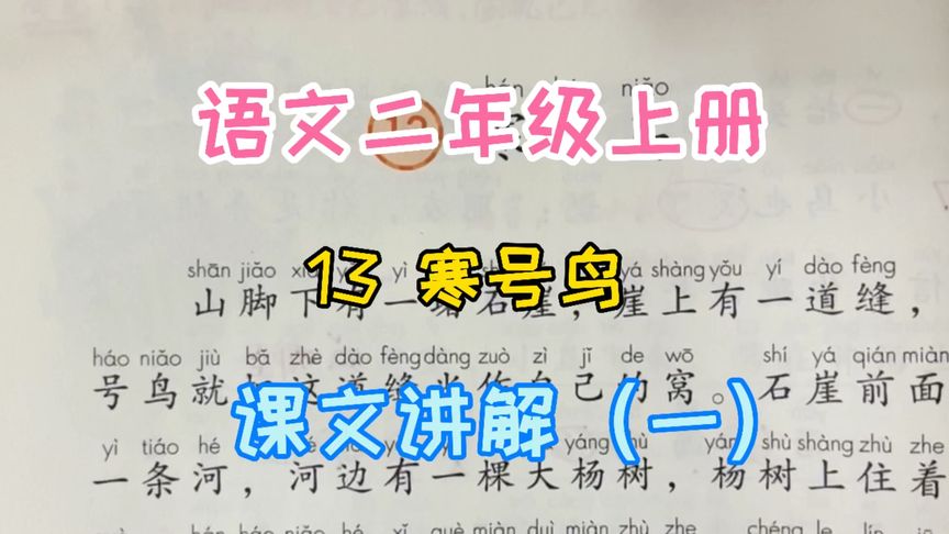 语文二年级上册,第13课 寒号鸟,课文讲解(一)