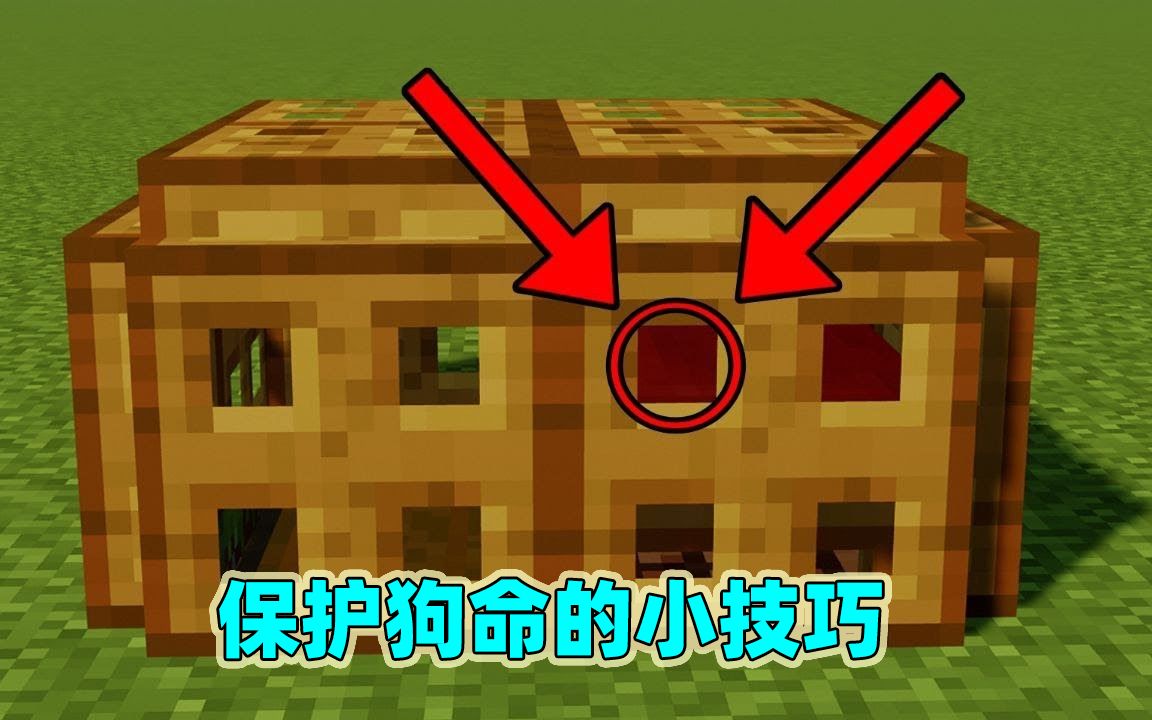 我的世界:保护狗命的五个小技巧!萌新必看系列,快收藏起来_游戏解说