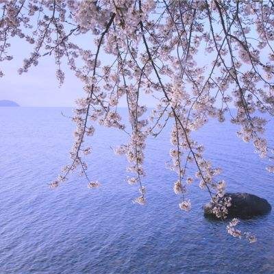 蔺永康 