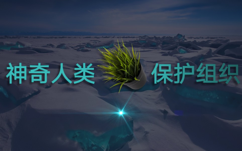 行政管理综合实验作业——组织结构分工