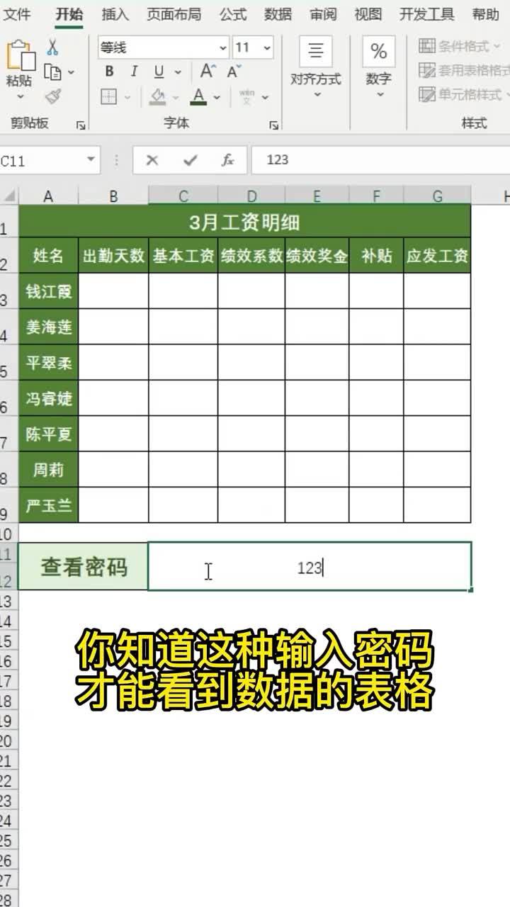 excel输入密码才能看到的表格