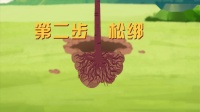 植树节小课堂:正经种树教程