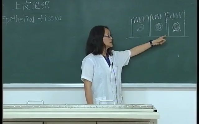02.第1章绪论、上皮组织(二)
