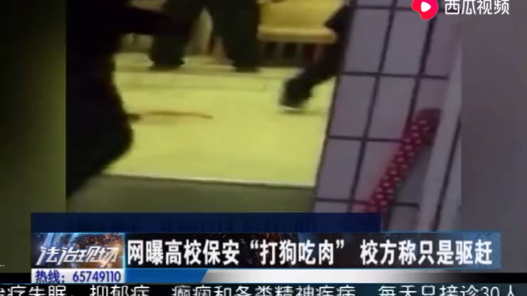 ”高校保安“打狗吃肉’ ,画面极其残忍,校方却称只是驱赶