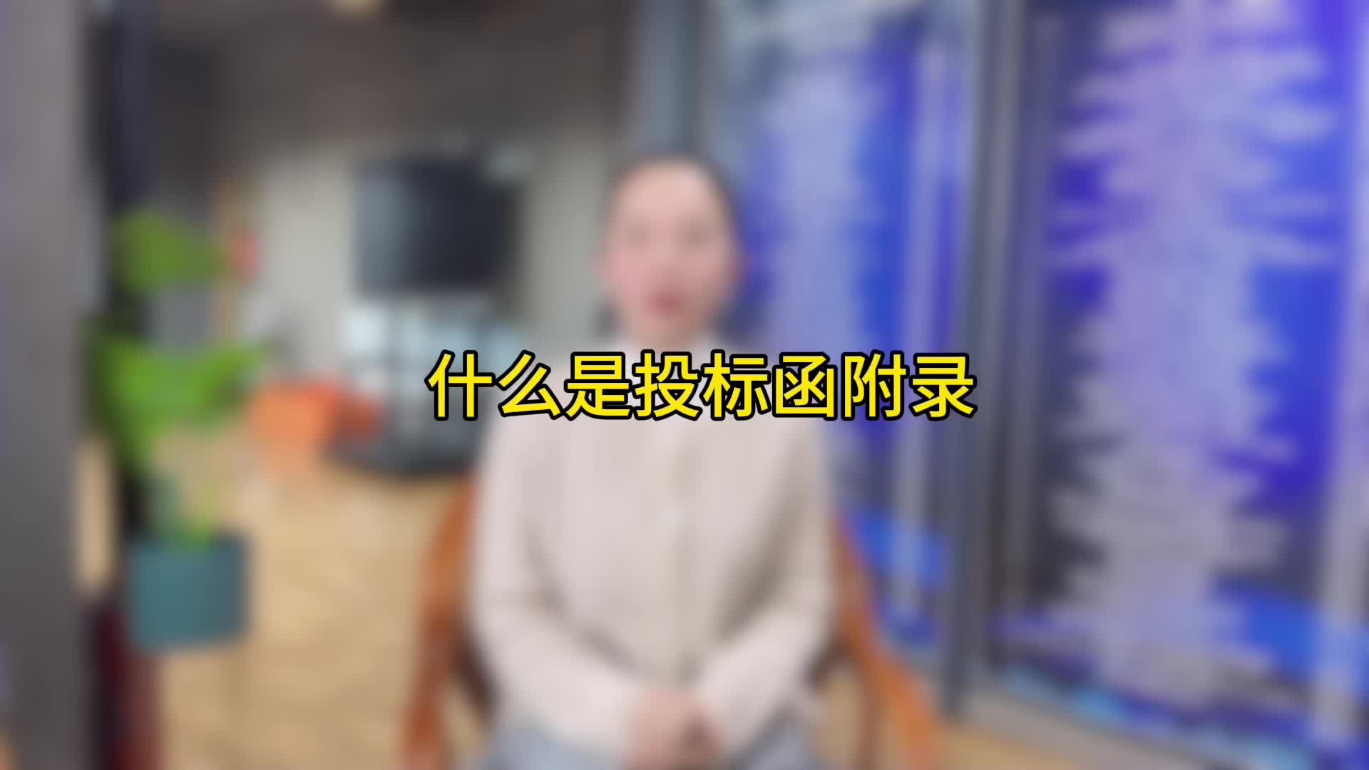 什么是投标函附录呢
