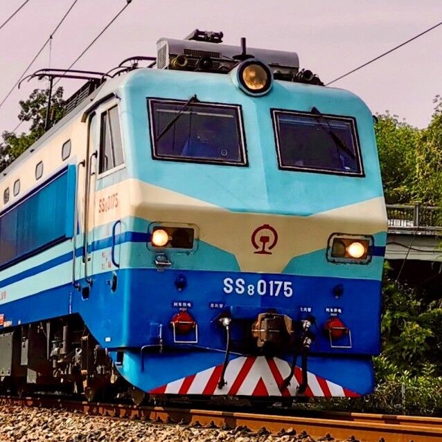 SS8-0175_Zptrt 