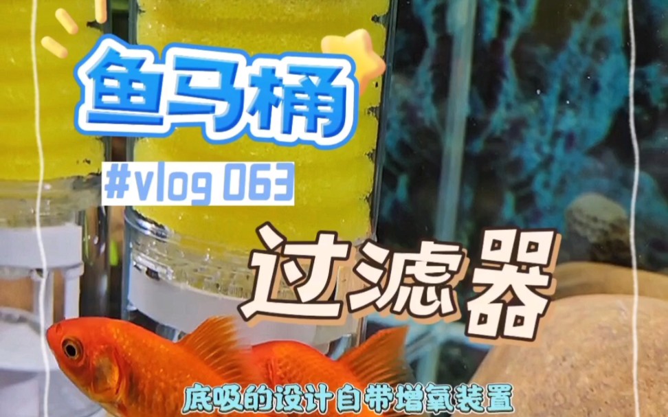 鱼缸过滤器循环水泵鱼马桶粪便分离器过滤增氧一体机净水循环系统 #...
