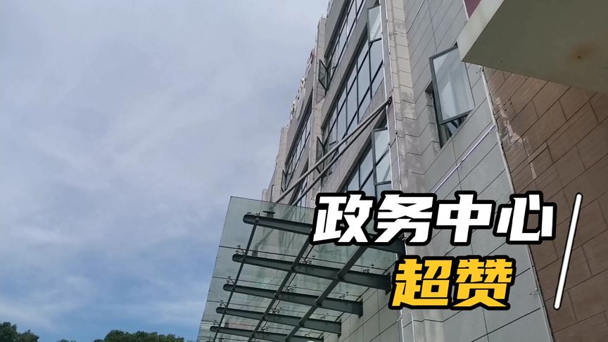 政务中心的小姐姐服务非常好