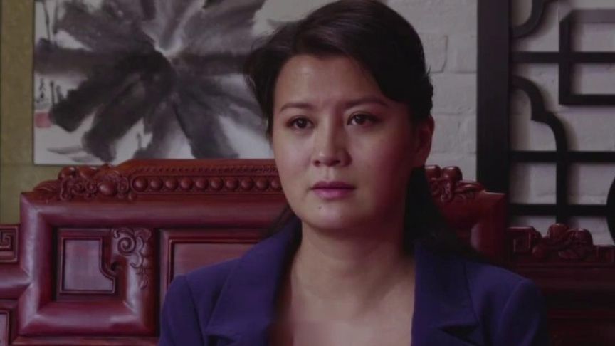 国家审计:审计组撤离了,区长立马准备50万现金,来见女处长!