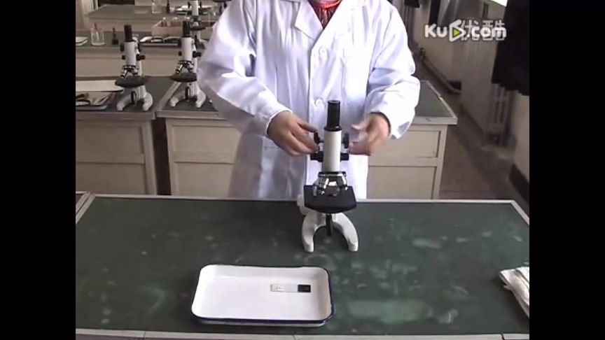 中学生物实验,观察根尖的结构