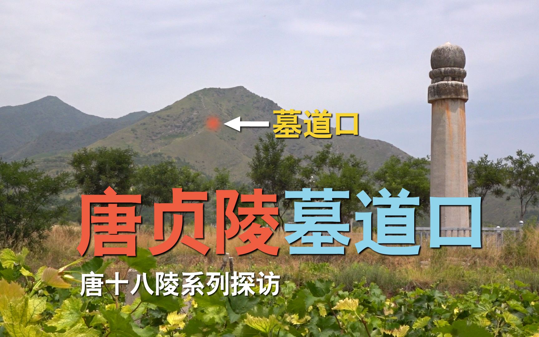 沿着唐贞陵的神道,探访石像生阵列,最终到达墓道口和地宫所在