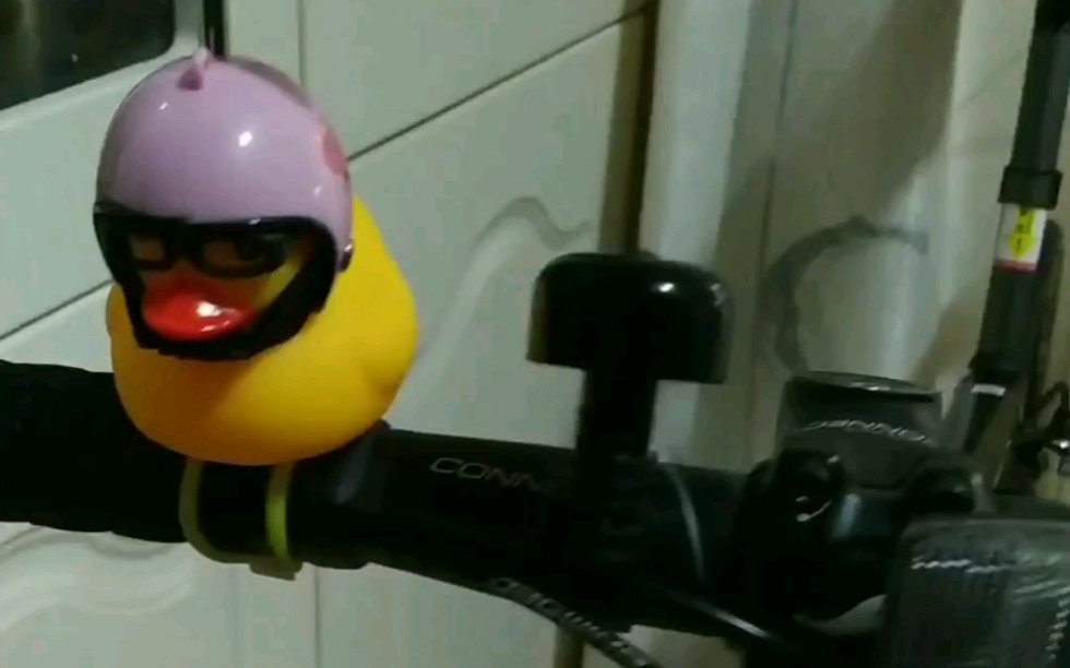 小黄鸭恋上了公路自行车