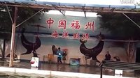 动物园海狮表演。
