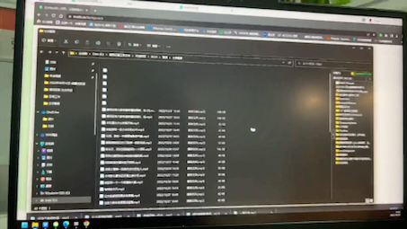 这是Win11的文件资源管理器的bug吗?读取文件需要遍历一篇,真的卡啊!
