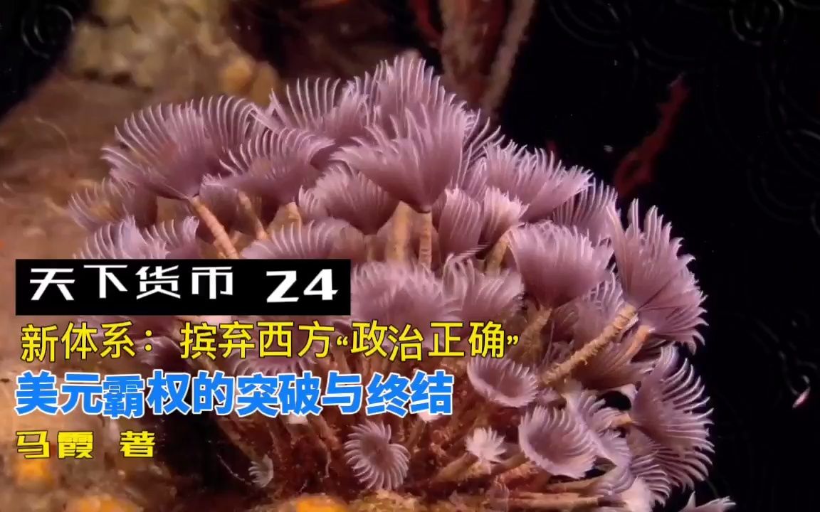 024《天下货币》新体系:摈弃西方“政治正确” 读书