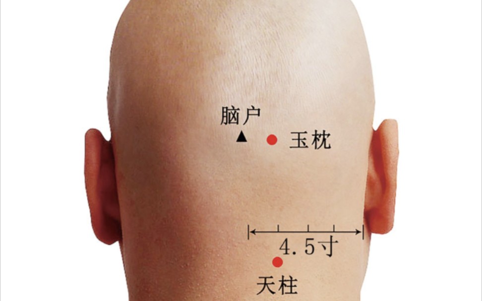 头晕头痛的中医特效按摩手法(超级干货)