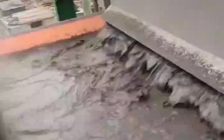 什么是真空皮带脱水机,真空皮带脱水机的原理