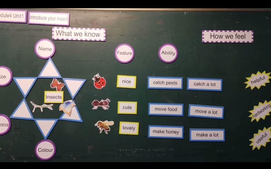 上海小学英语课堂教学展示——板书欣赏